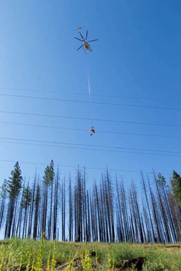 Sacramento Municipal Utility District - SMUD using X-ray technology to ...